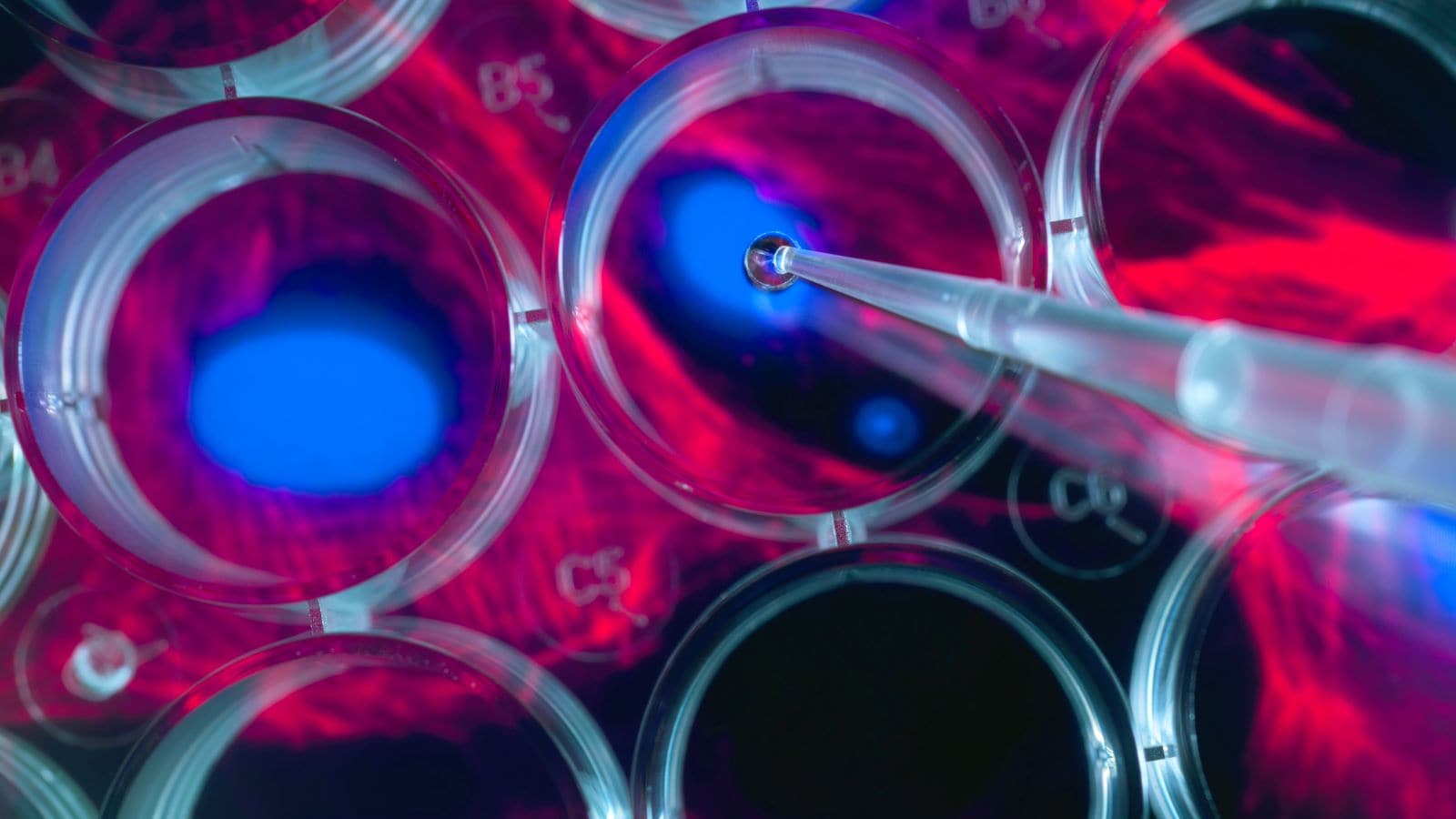 Navigating today’s HTA challenges and opportunities | PwC Switzerland