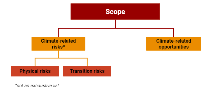 ISSB Exposure Drafts: What You Need to Know | PwC Switzerland