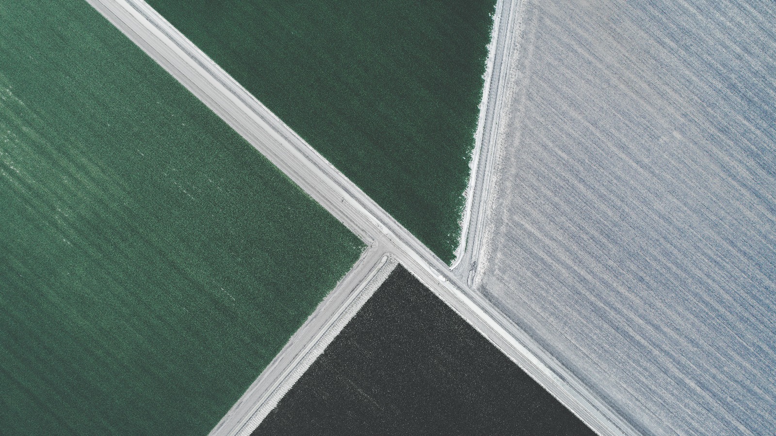 Tax Transparency in the DACH region in 2022 | PwC Tax Transparency in the DACH region in 2022 | PwC