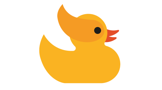 Duck Challenge | PwC