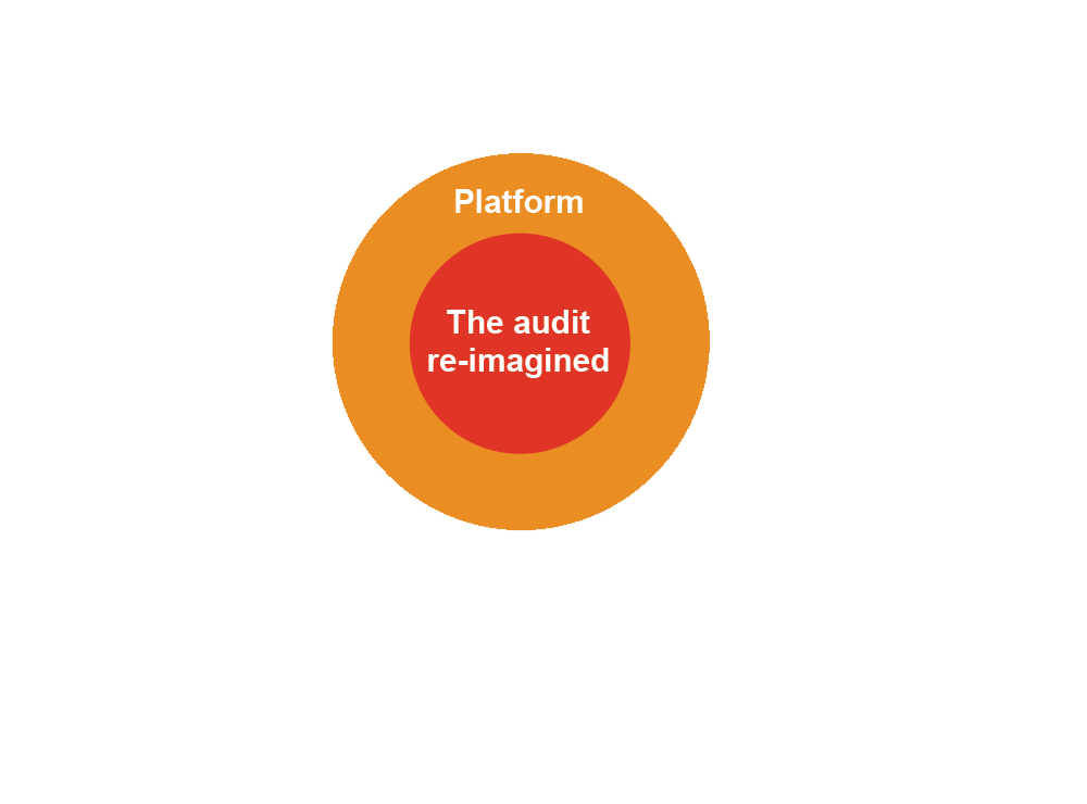 Technology Enabled Audit | PwC